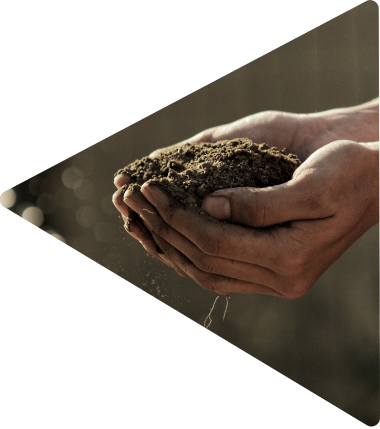 ANOOK INDUSTRY - Anook